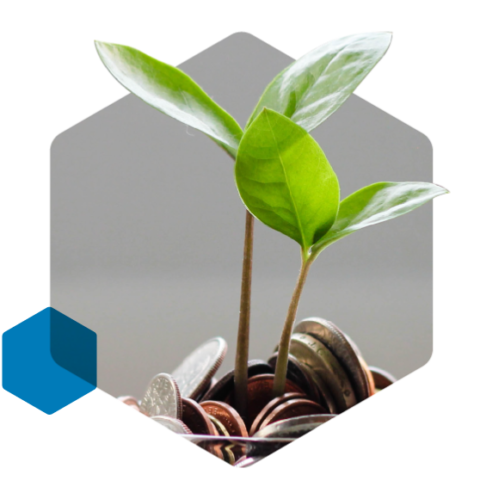 Financial Advice - Home - First Service Financial