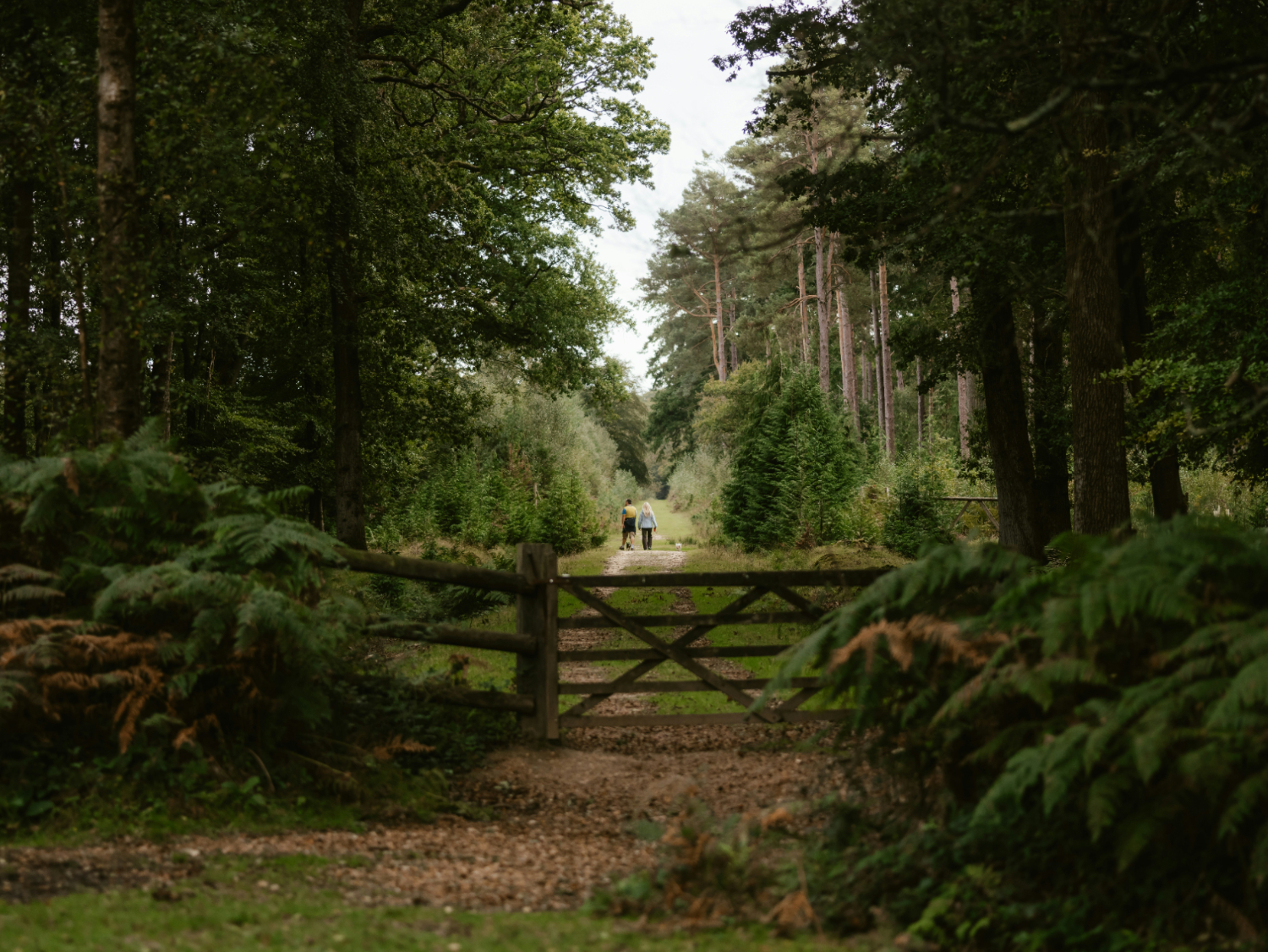 Guide: Everything you need to know about annuities when creating a ...